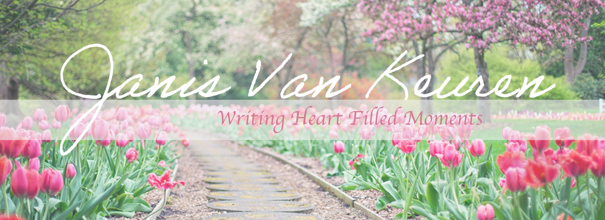 Steadfast–My Focus for the Year – Janis Van Keuren